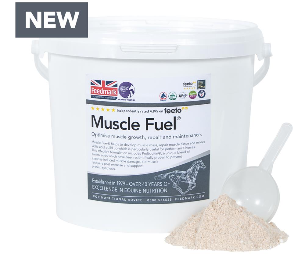 What is Protein and Why Does My Horse Need It? | Feedmark Nutritionist ...
