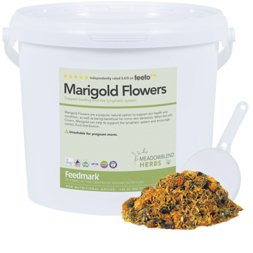 Horse Supplement | Feedmark EU