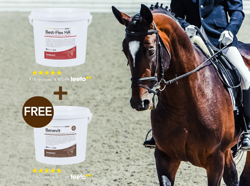 Special Offers! | Feedmark EU