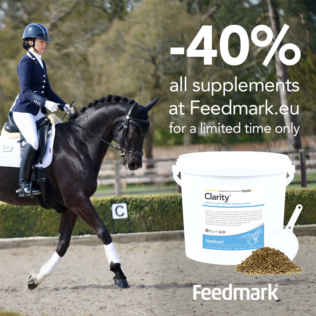 Horse Of The Week | Trio | Feedmark | Feedmark